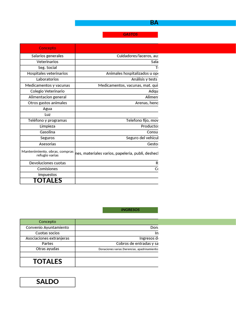 Balance 2024 y Prevision 2025 | PDF