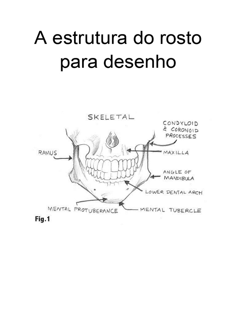 A Estrutura Do Rosto para Desenho | PDF