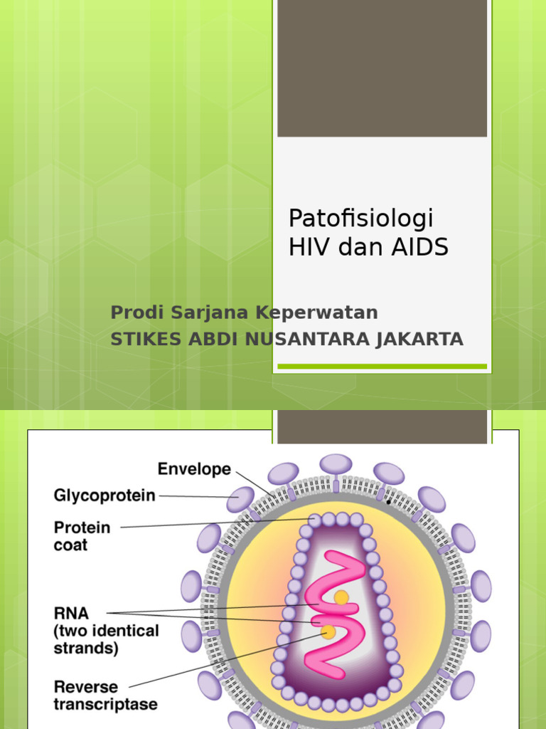 Patofisiologi HIV dan AIDS | PDF | Hiv | Microbiology