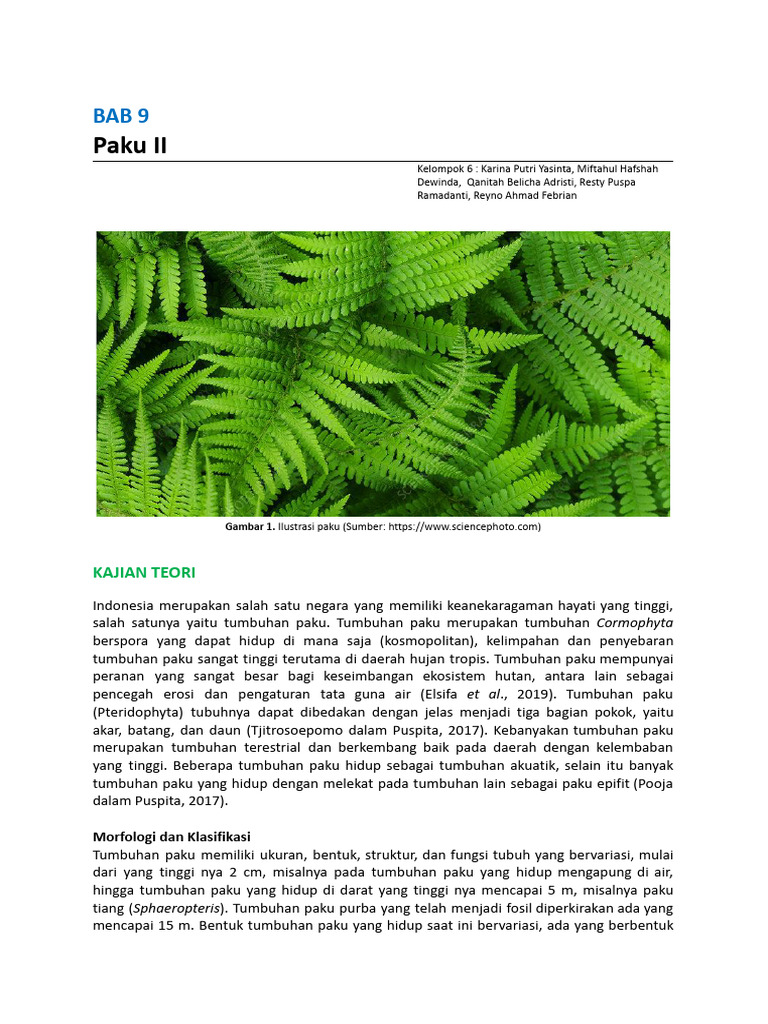 Paku 2 | PDF