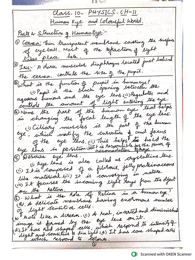 Human Eye Handwritten Notes Pdf