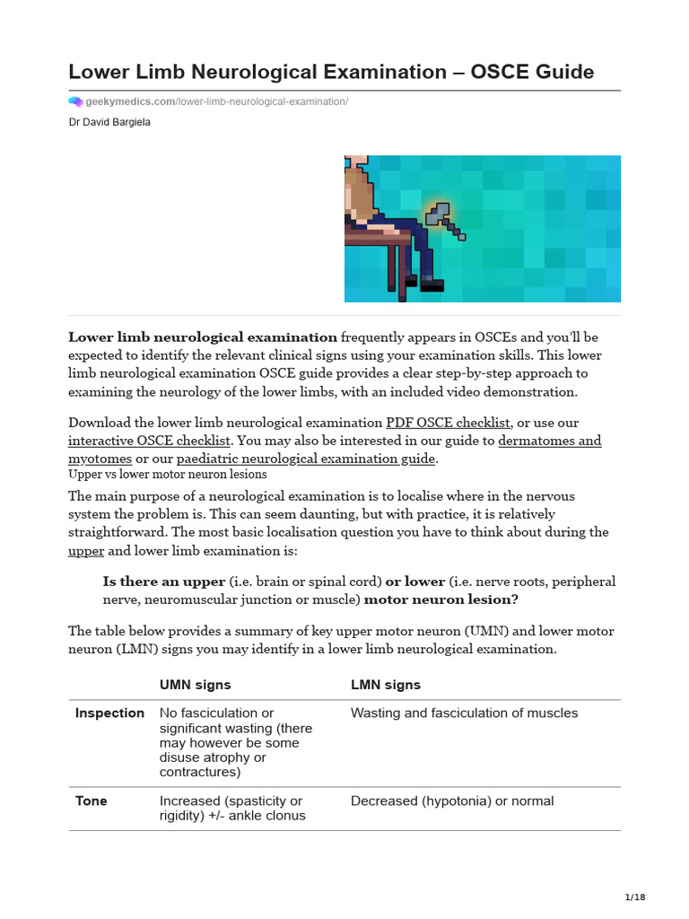 Lower Limb Neurological Examination OSCE Guide | PDF | Human Leg | Foot