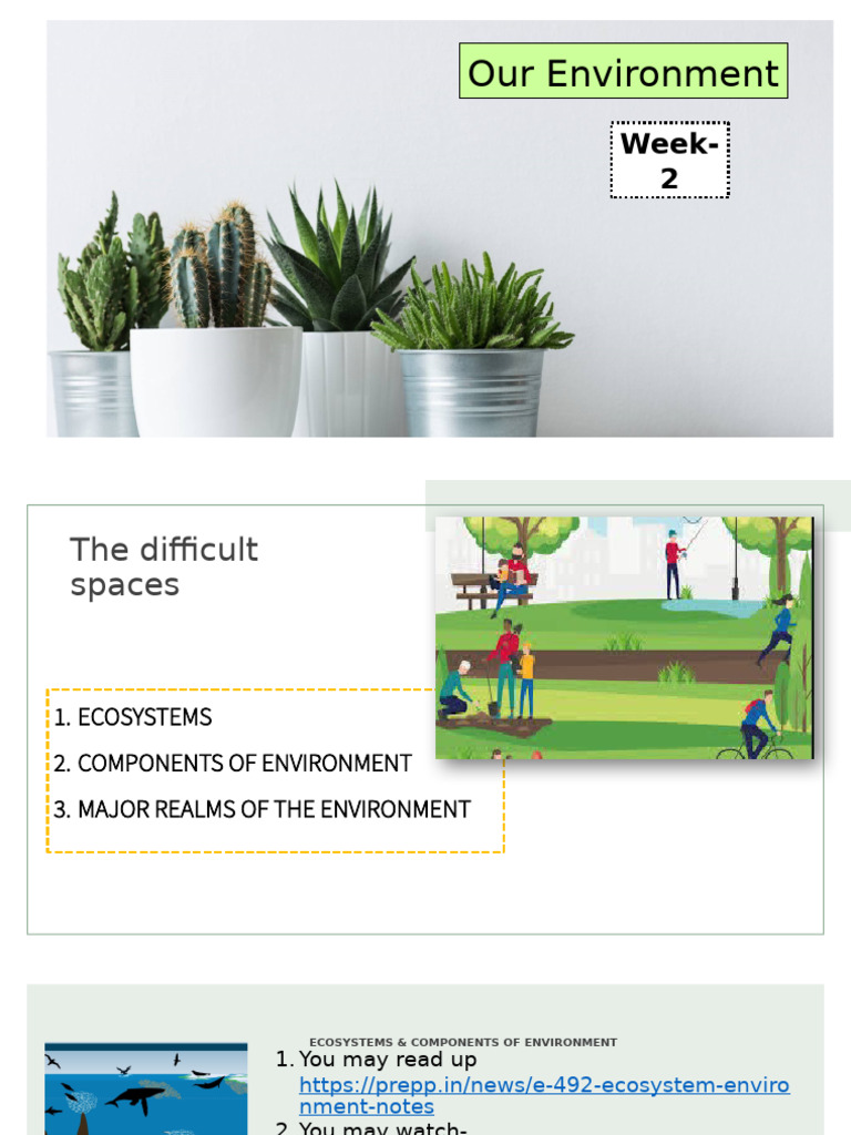 Importance of Ecosystems in Daily Life | PDF | Natural Environment ...