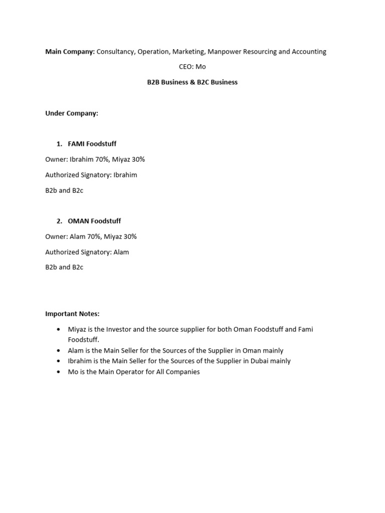 Company Structure Idea | PDF