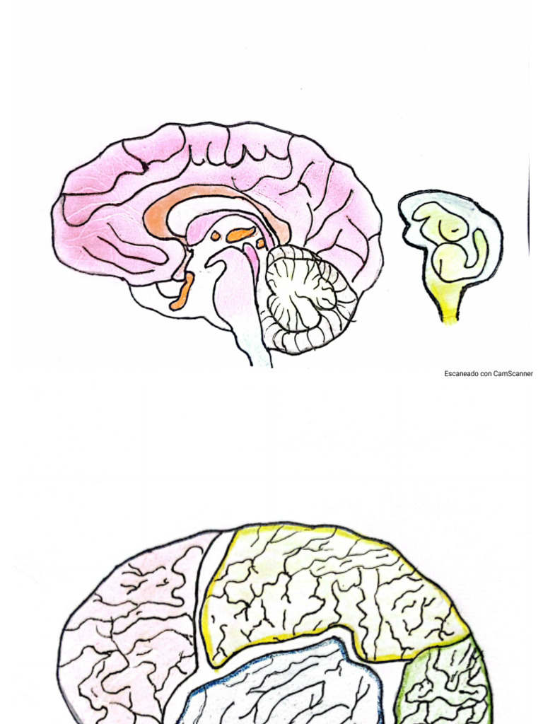 jeanis dibujos | PDF