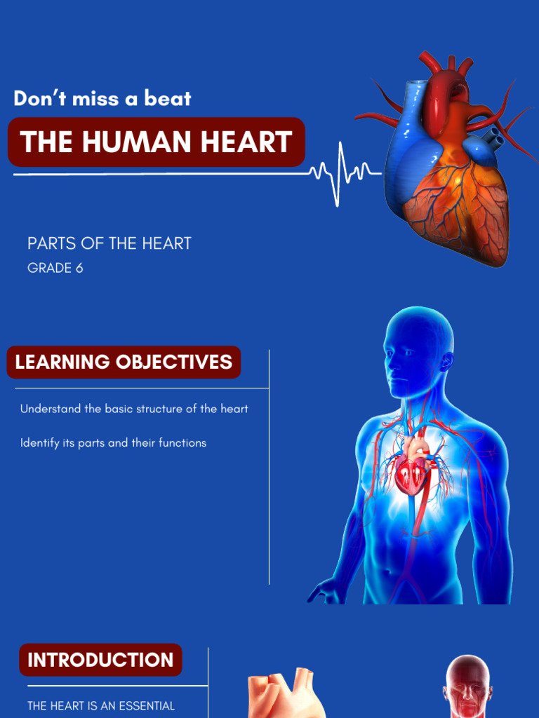 Parts and Functions of the Heart for Grade 6 | PDF | Heart Valve | Heart
