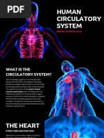 Circulatory System Assignment | PDF | Circulatory System | Blood