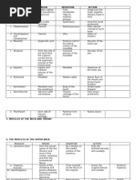Muscle OIA | PDF | Vertebral Column | Vertebra