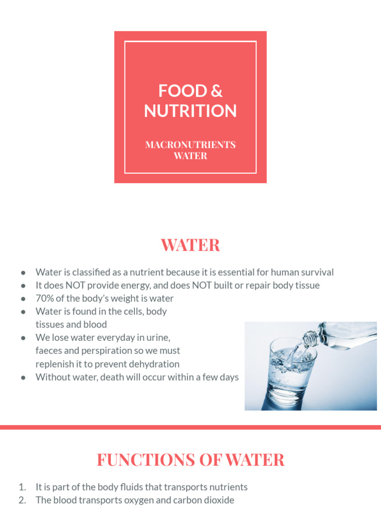 4 - Water | PDF