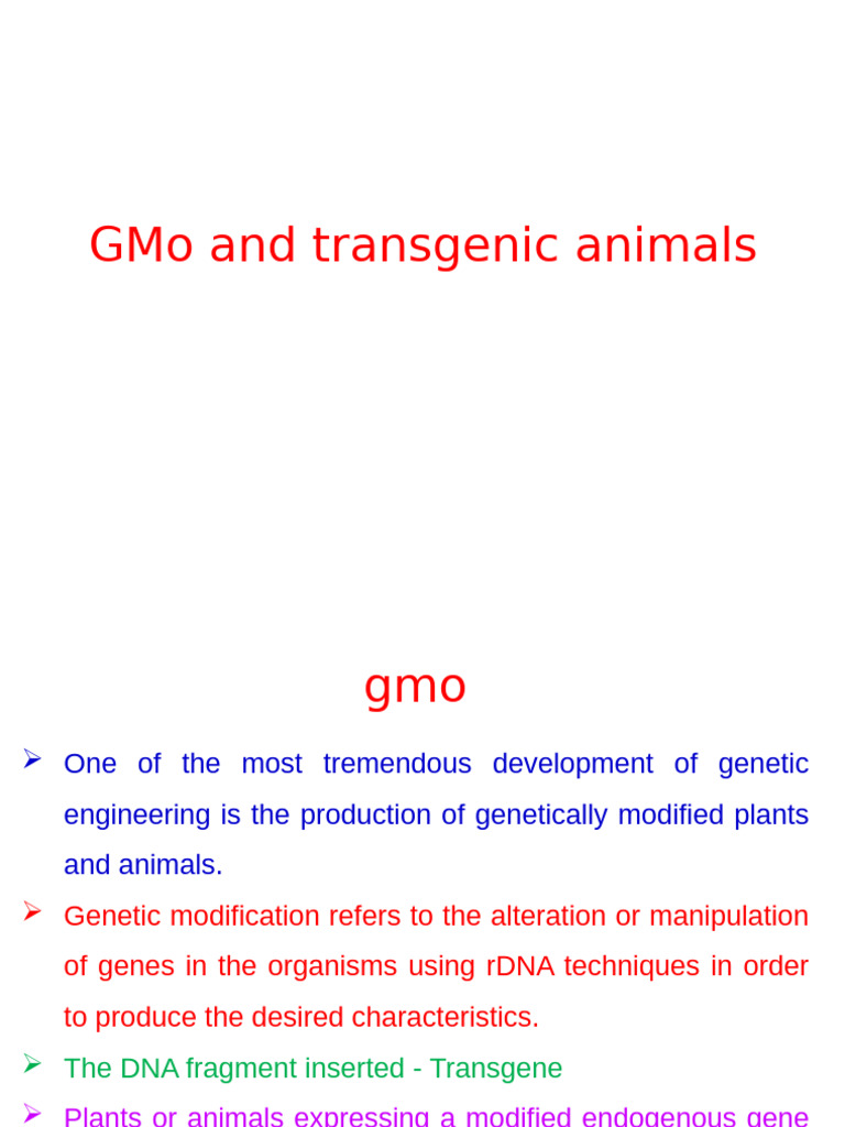GMO and Transgenic Animals | PDF | Genetically Modified Organism ...