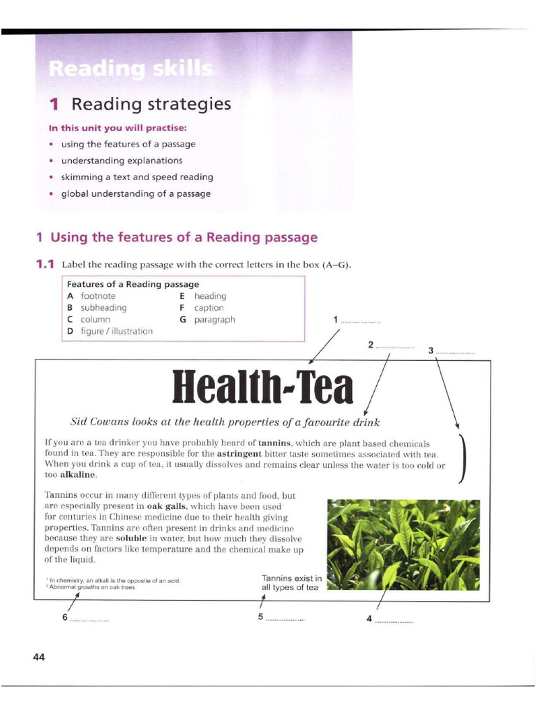 Reading S1 | PDF