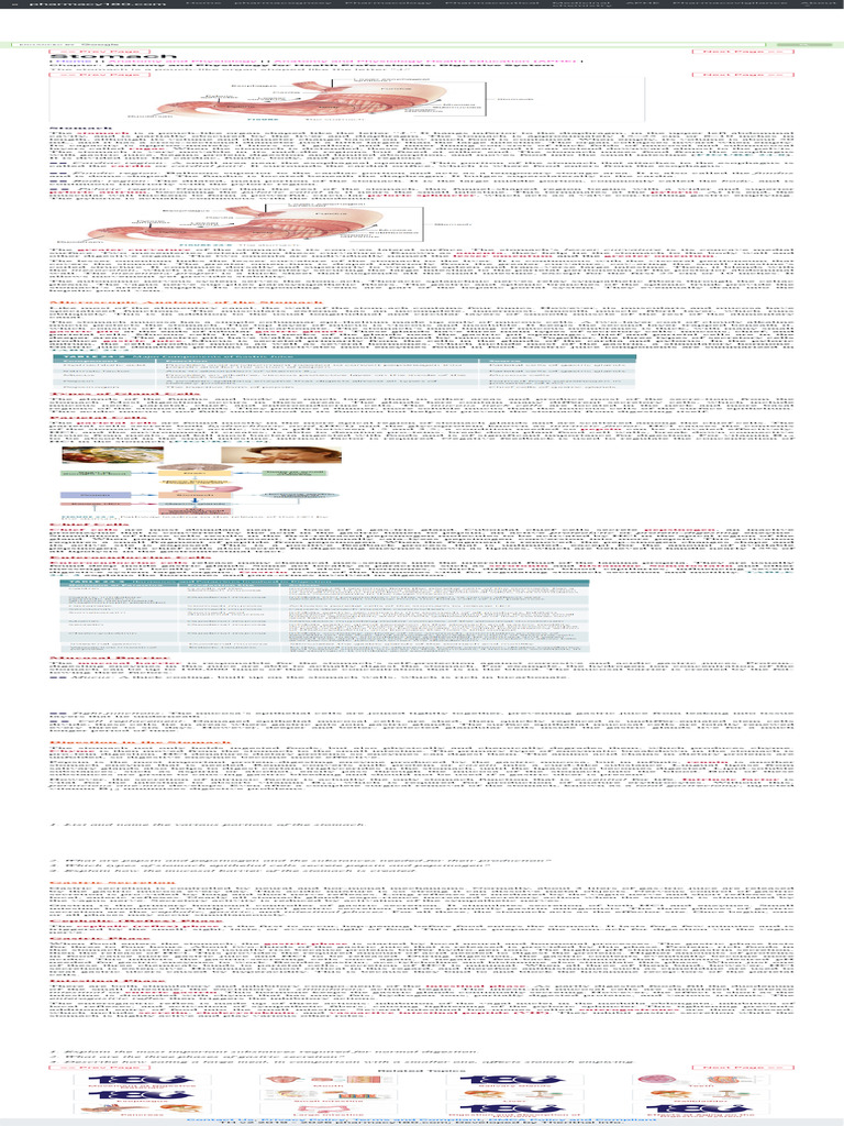 Stomach - Structure, Function Digestive System Anatomy and Physiology ...