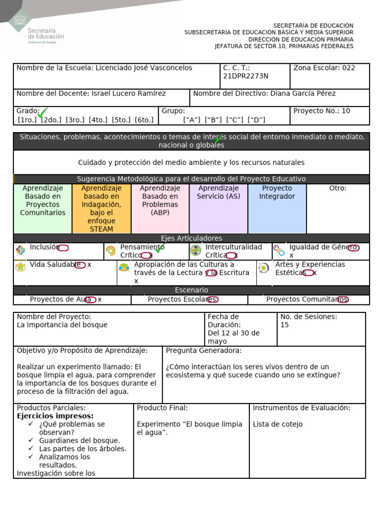 Proyecto 1° La Importancia de Los Bosques | PDF | Educación primaria | Escritura