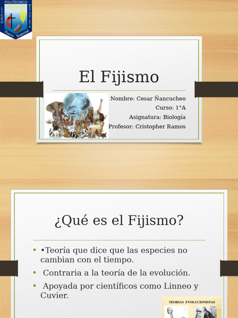 Fijismo Presentacion | PDF
