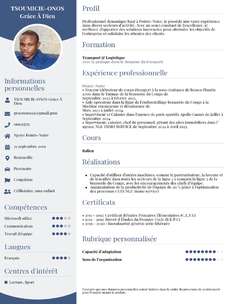 CV 2 | PDF