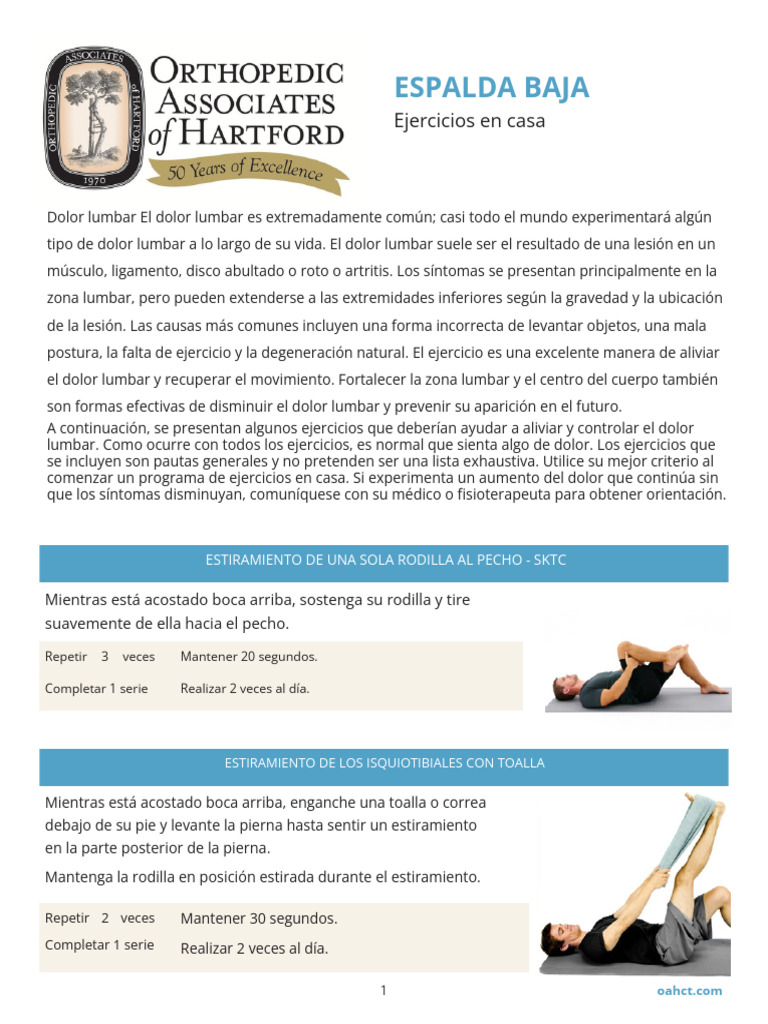 Low Back Spanish | PDF | Dolor lumbar | Rodilla