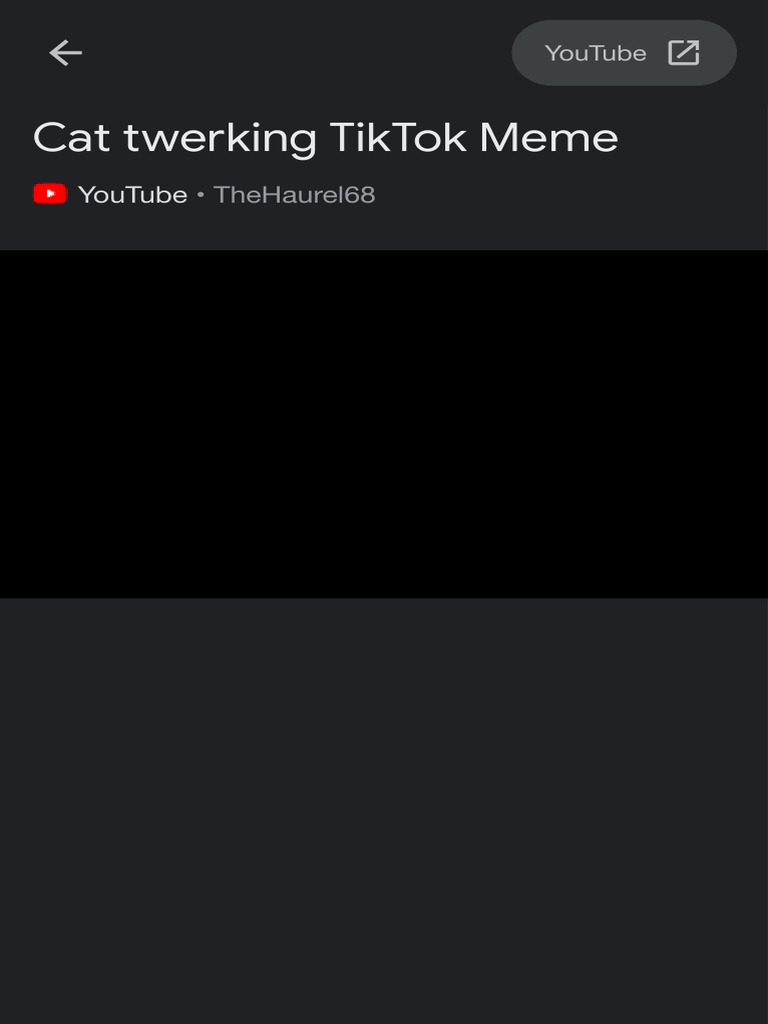 Twerking Cat - Google Search | PDF