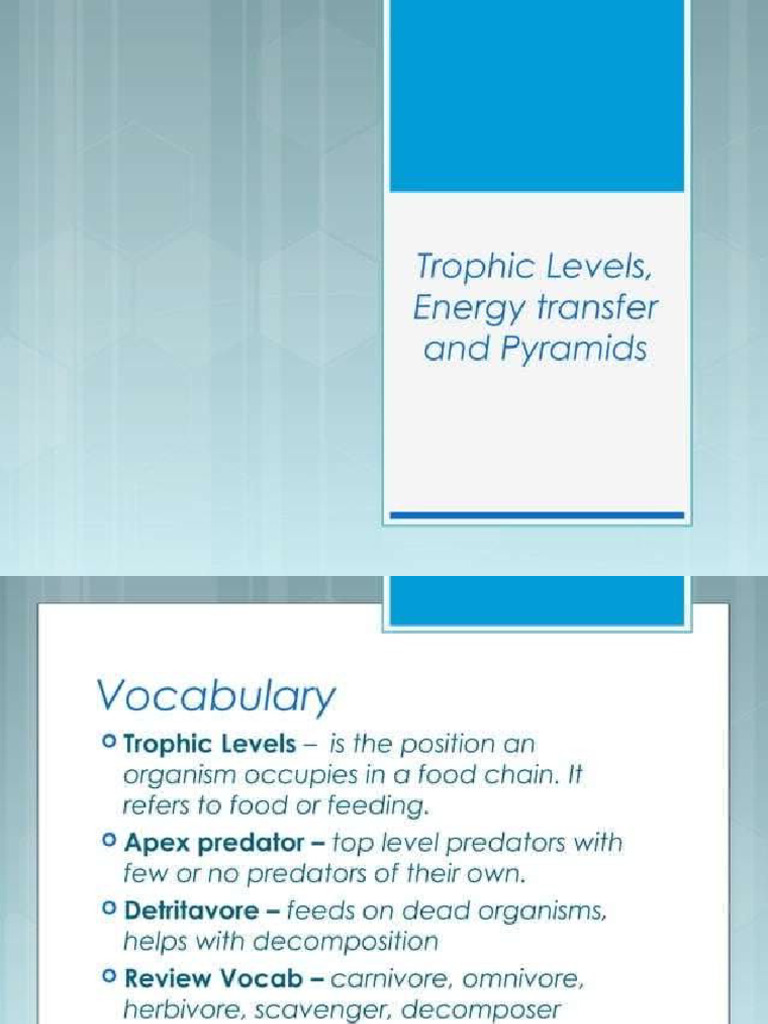 Grade 10 Biology.. | PDF