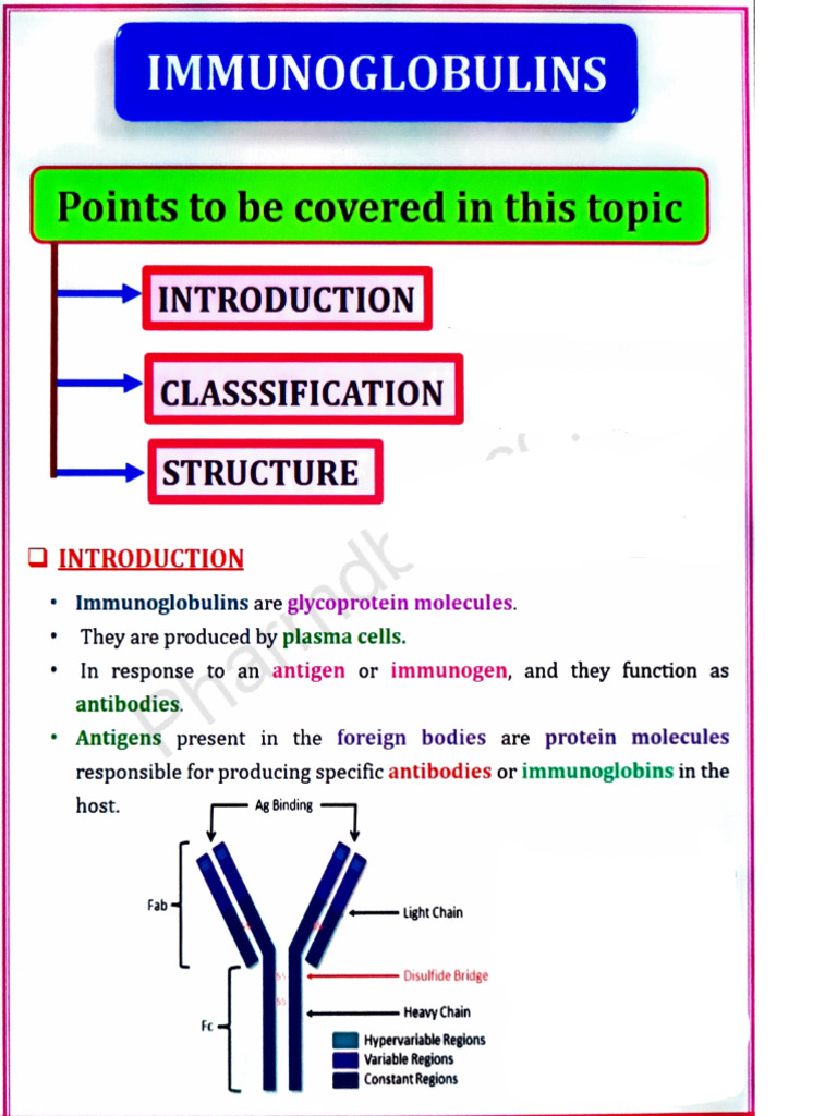 Biotechnology Unit 3 | PDF