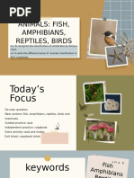 Classification of Animals Chart | PDF