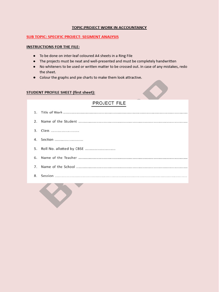 Segment Analysis Project Guidelines | PDF | Business