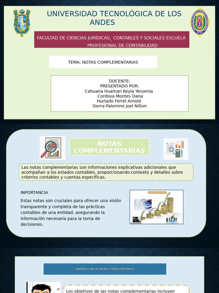 Notas Complementarias | PDF | Contabilidad | Estado financiero