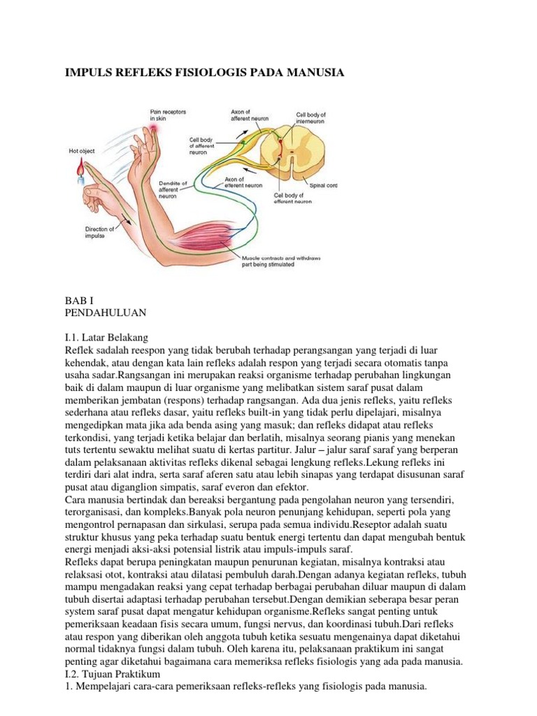 Mekanisme Refleks Fisiologis Manusia | PDF | Sains & Matematika