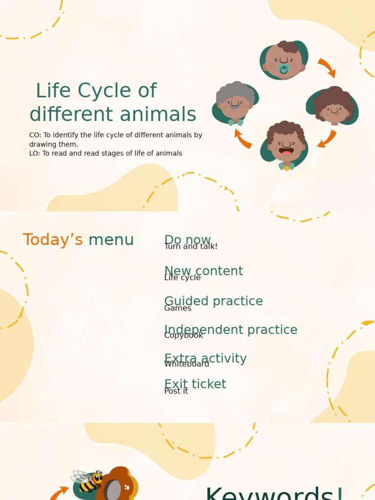 Animal Life Cycle Stages Explained | PDF