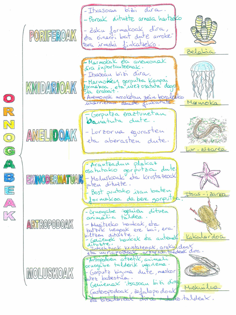 Animalia Ornogabeak | PDF