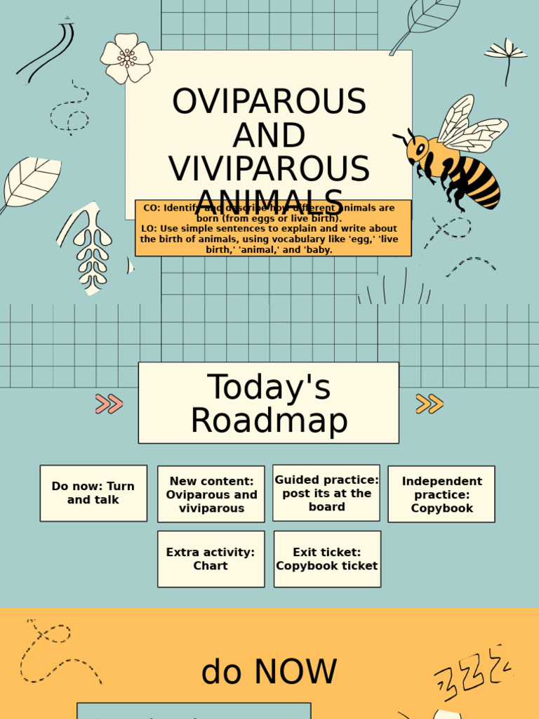 Lesson 4 - Oviparous and Viviparous | PDF | Egg | Biological Interactions