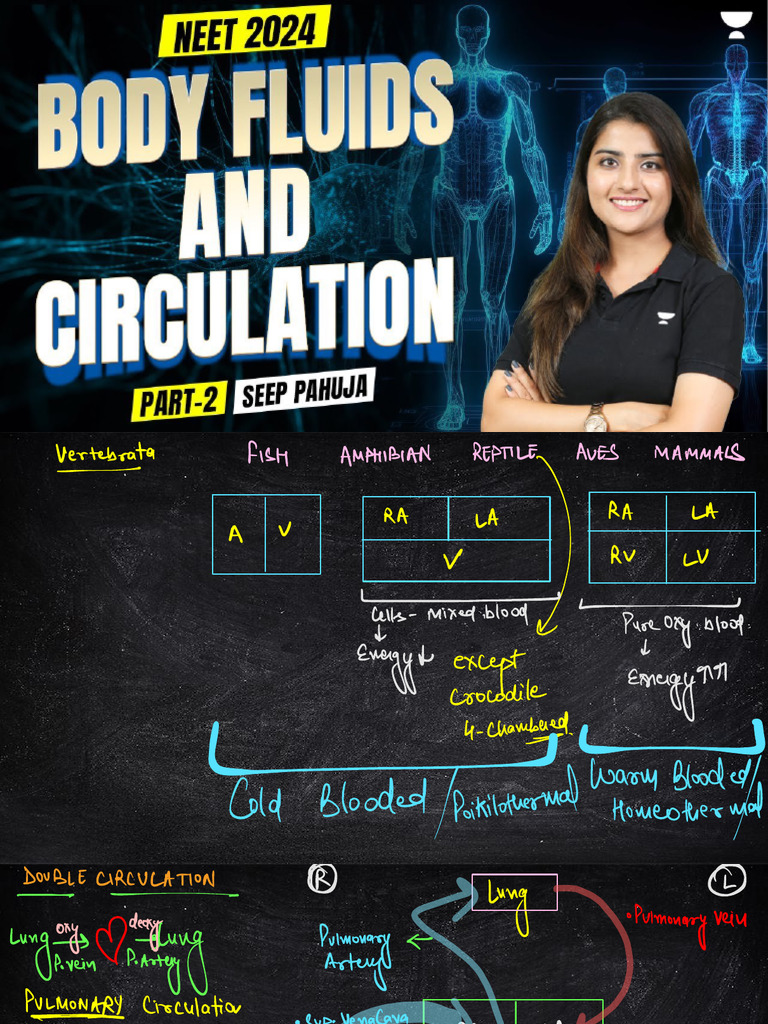 Body Fluids and Circulation L2 | PDF