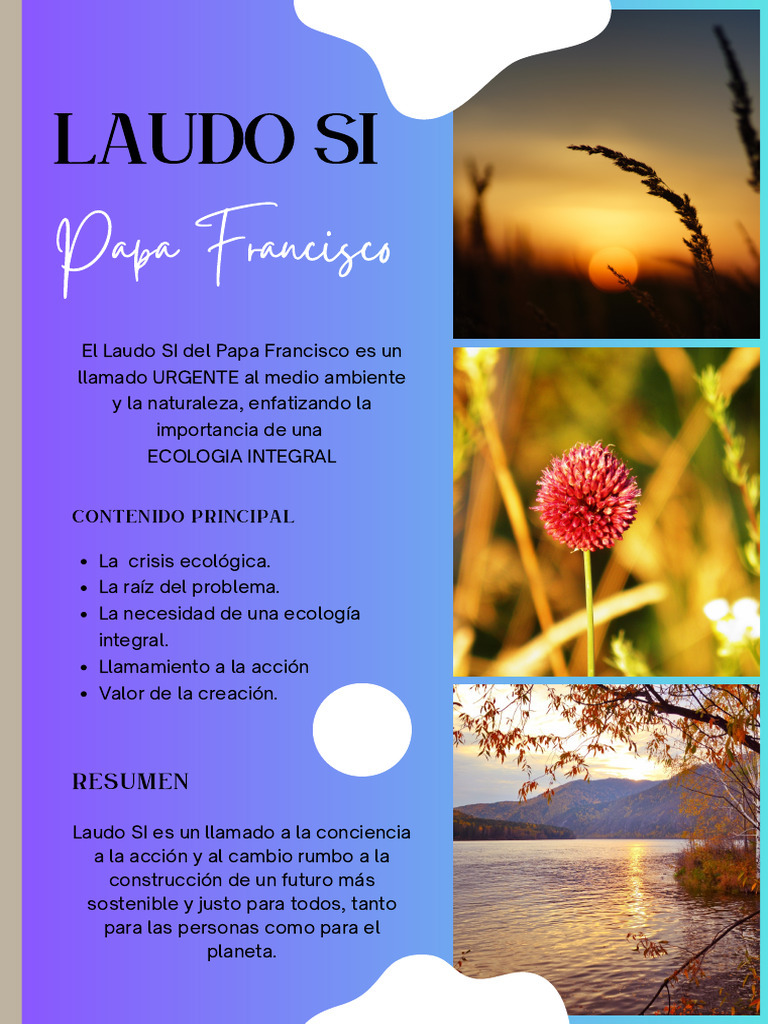 Folleto de Flayer LAUDO SI | PDF