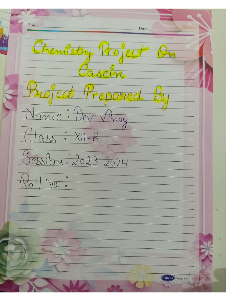 Chem Project File | PDF