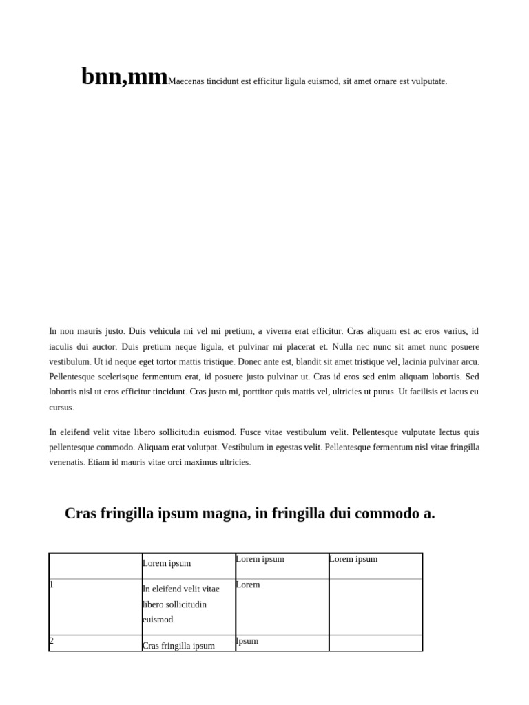 BNN, MM: Cras Fringilla Ipsum Magna, in Fringilla Dui Commodo A | PDF