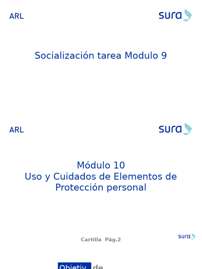 Presentación Módulo 10 Uso y Cuidado de EPP | PDF