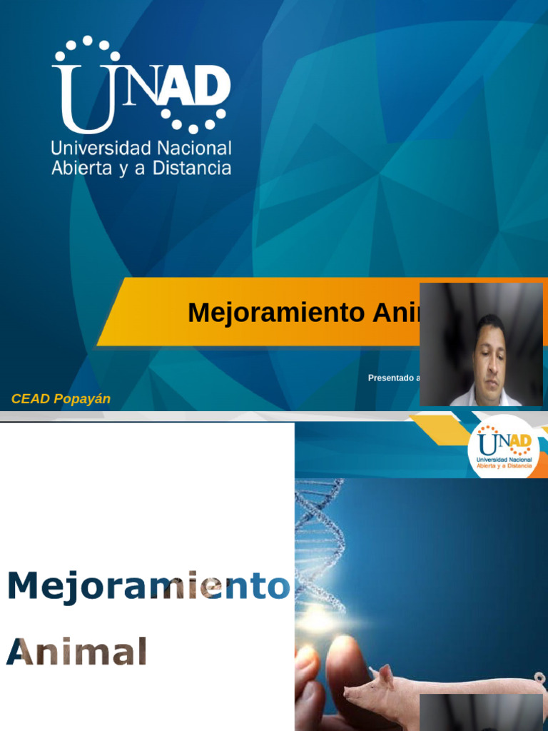 Mejorameinto Animal | PDF | Adn | Reacción en cadena de la polimerasa
