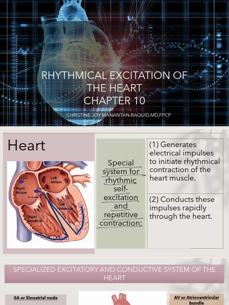 CHAP 10 | PDF | Heart | Atrium (Heart)
