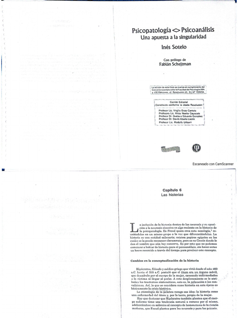 Texto 19.psicopatologia Psicoanálisis Ines Sotelo | PDF