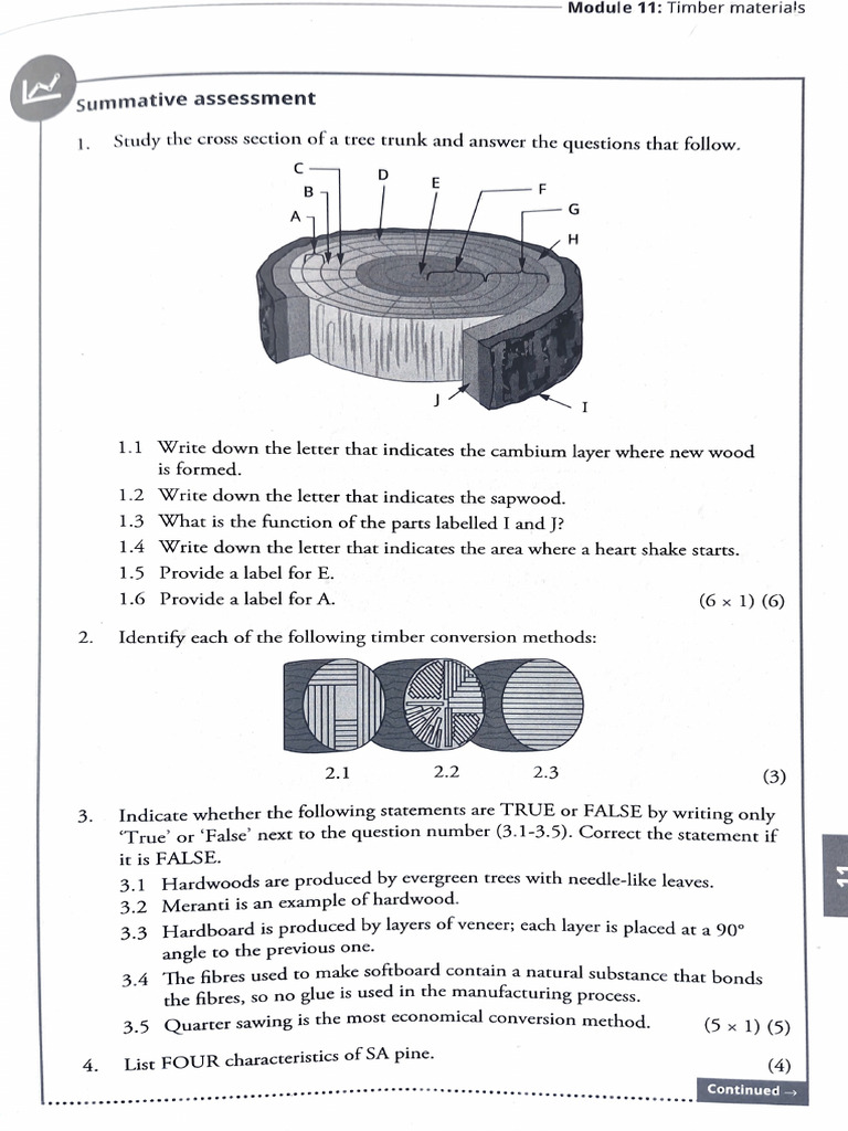 Summative Assessment | PDF
