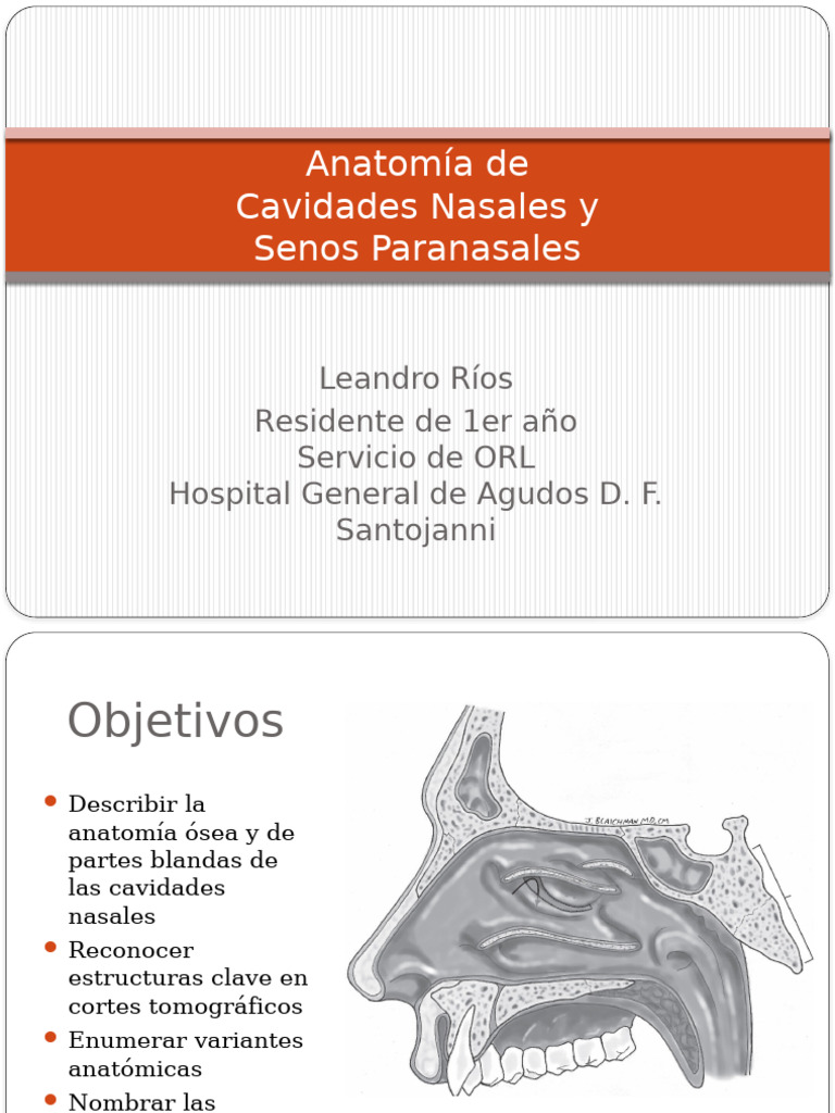 Anatomia Cavidades Nasales y Senos Paranasales | PDF
