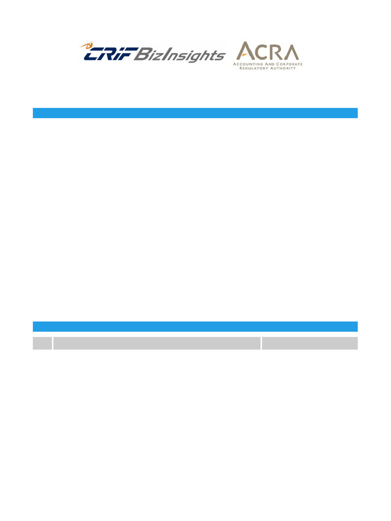 BPFLLP Sample Report t09ll0001l | PDF | Limited Liability Partnership | Business