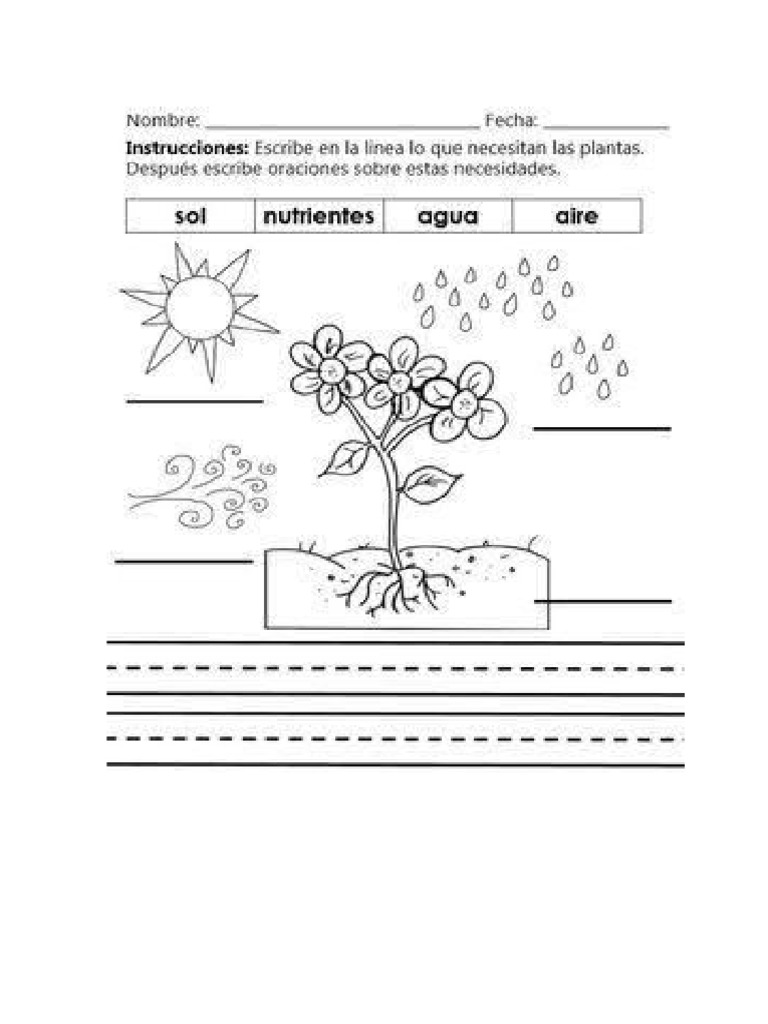 Lo Que Necesita La Planta | PDF