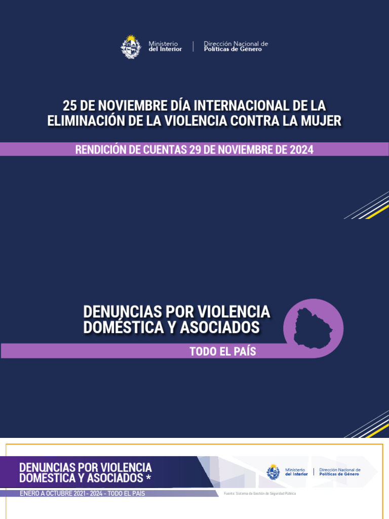 Indicadores de VDG - 25n - 2024 | PDF | Violación | Violencia doméstica