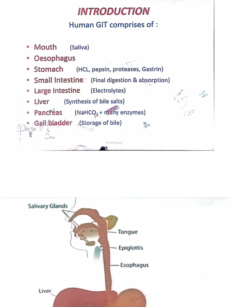 Biochemistry (Saliva) | PDF