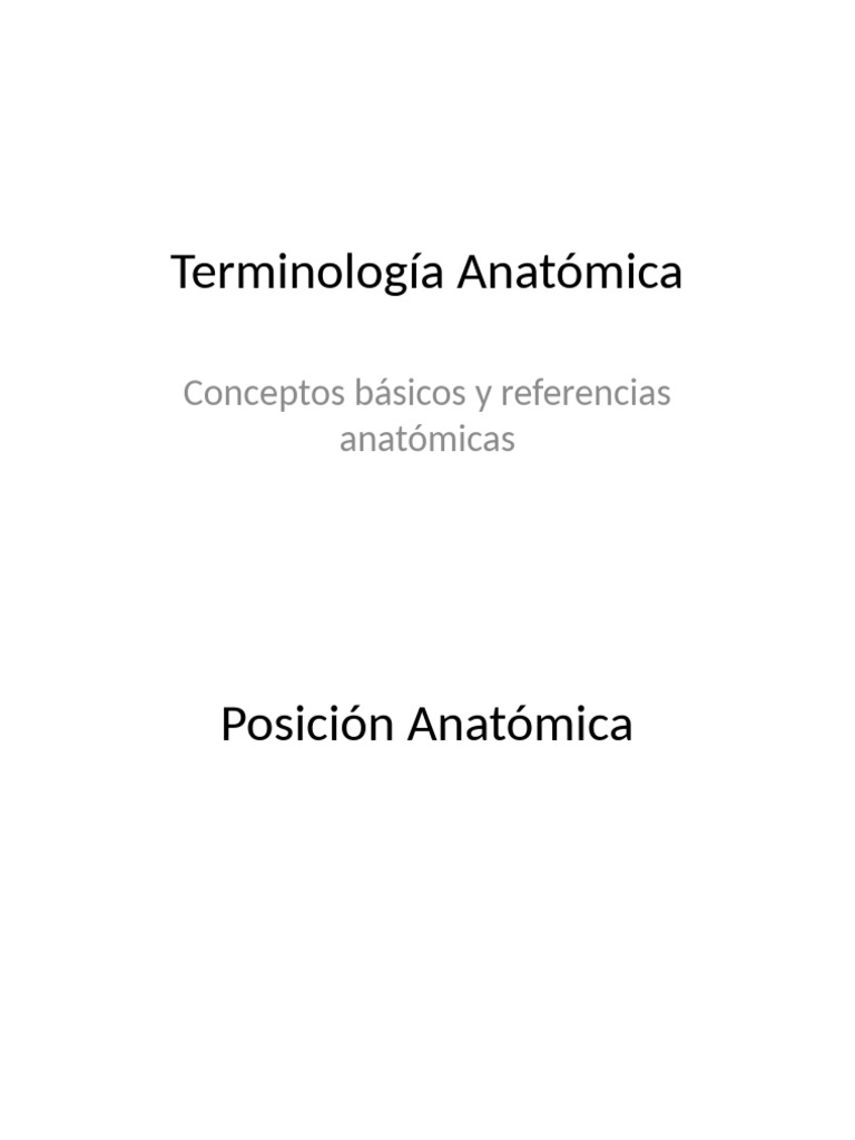 Terminologia Anatomica | PDF