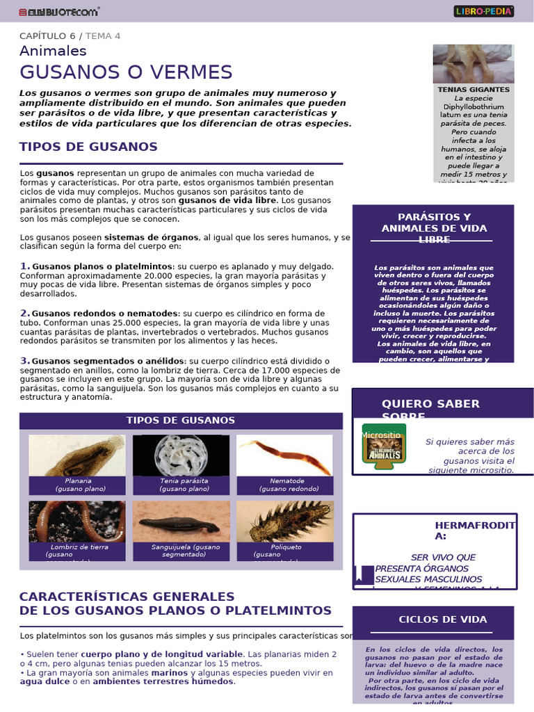 Gusanos | PDF | Nematodo | Parasitismo