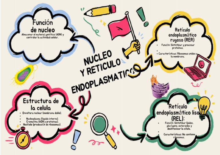 Nucleo | PDF
