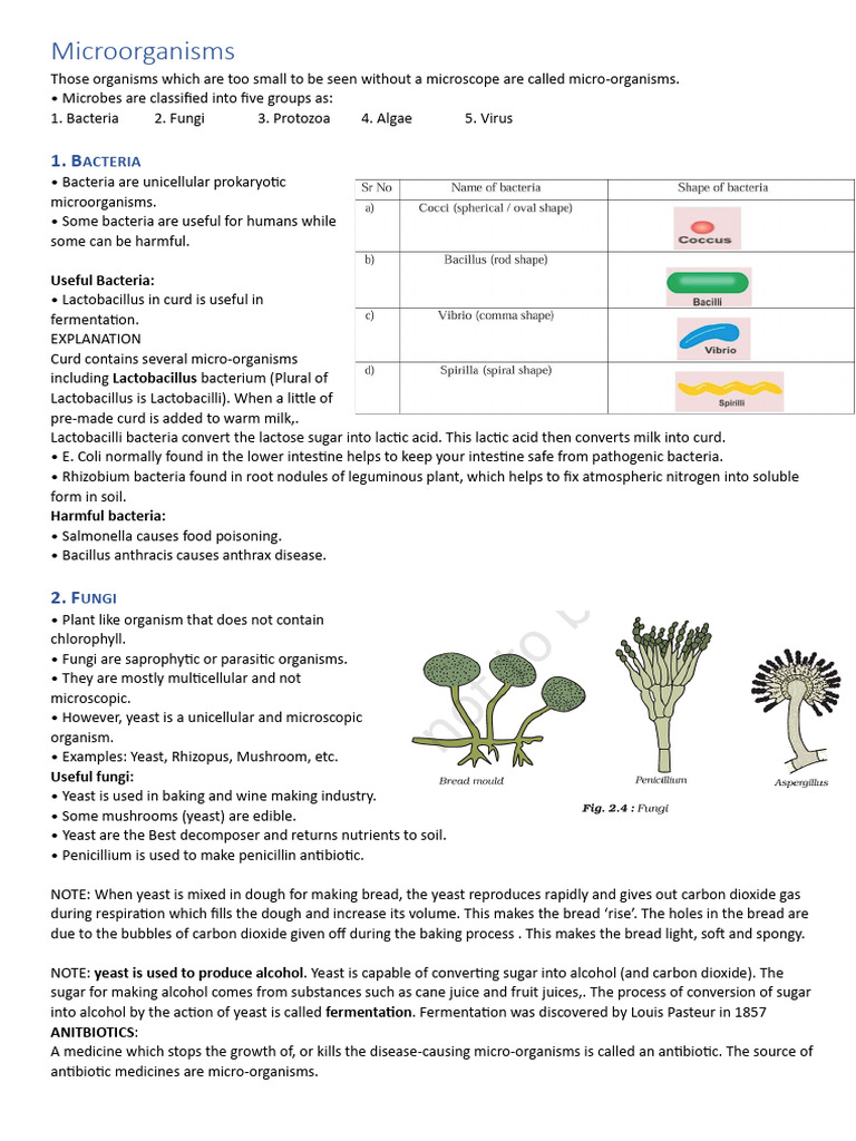 Understanding Microorganisms: Types & Effects | PDF | Food Preservation ...