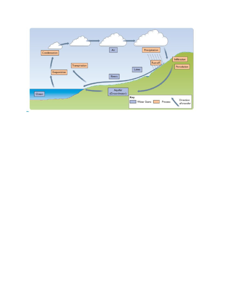 The Hydrological Cycle | PDF