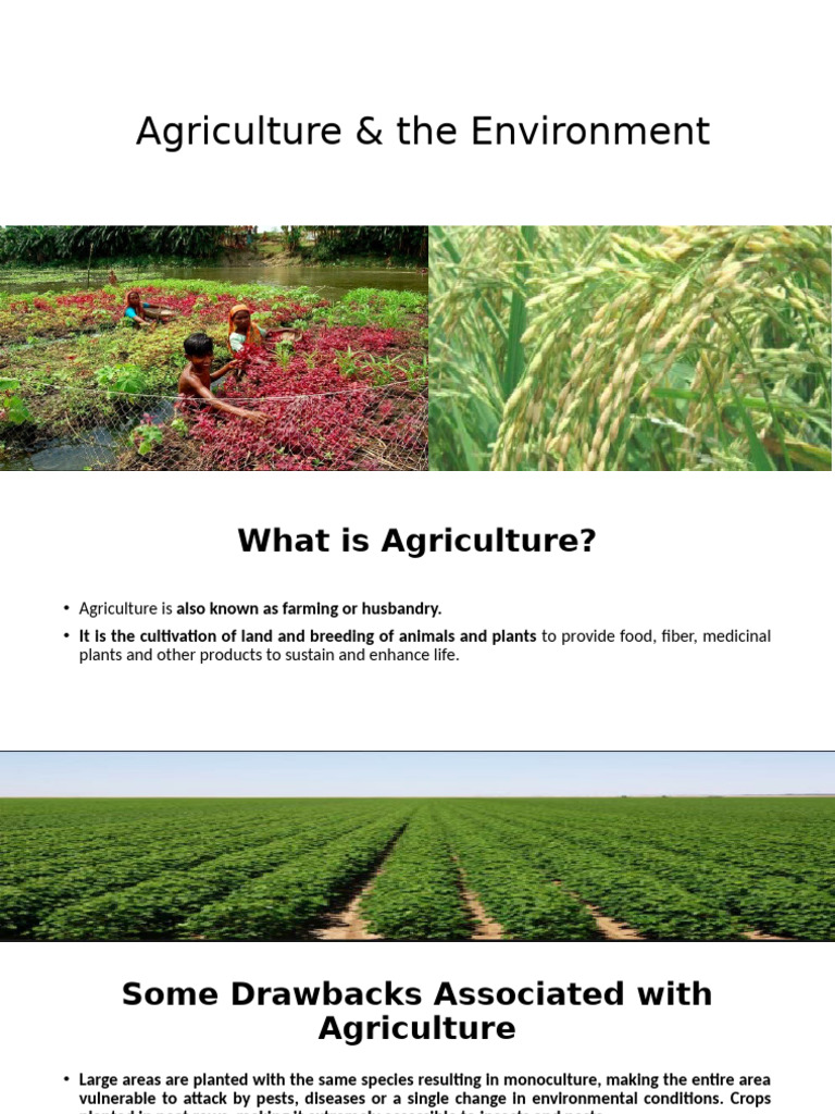 Agriculture's Environmental Impact & Solutions | PDF | Agriculture ...